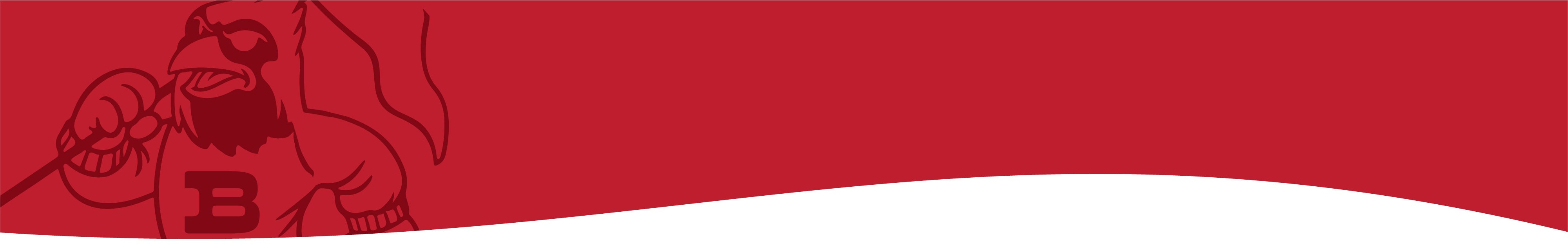 Benton Cardinals – bzteesapparel